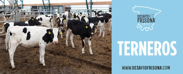 Claves para la alimentación de terneros - Vacuno de élite | Pasión por ...