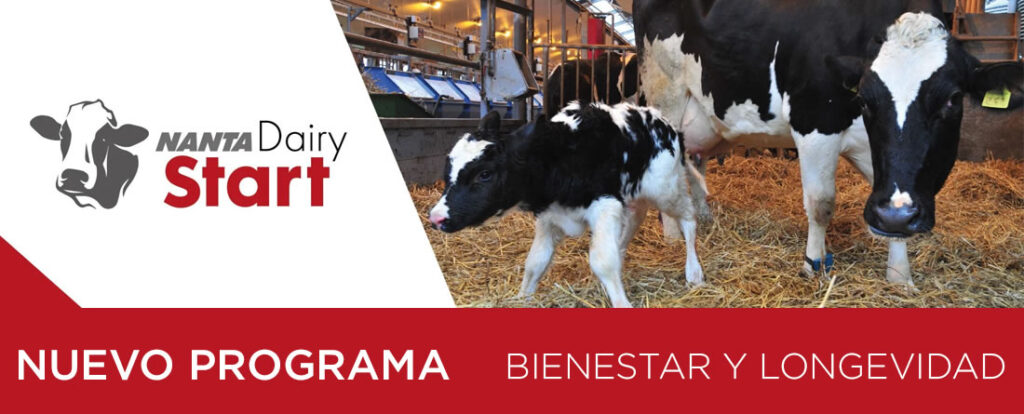 Nuevo programa Nanta Dairy Start para la optimización del bienestar y la longevidad de las vacas ...