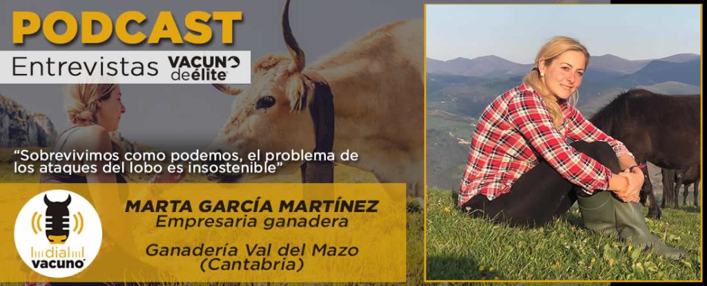 Ataques de lobos, entrevista con Marta García de Ganadería Val del Mazo - Vacuno de élite ...